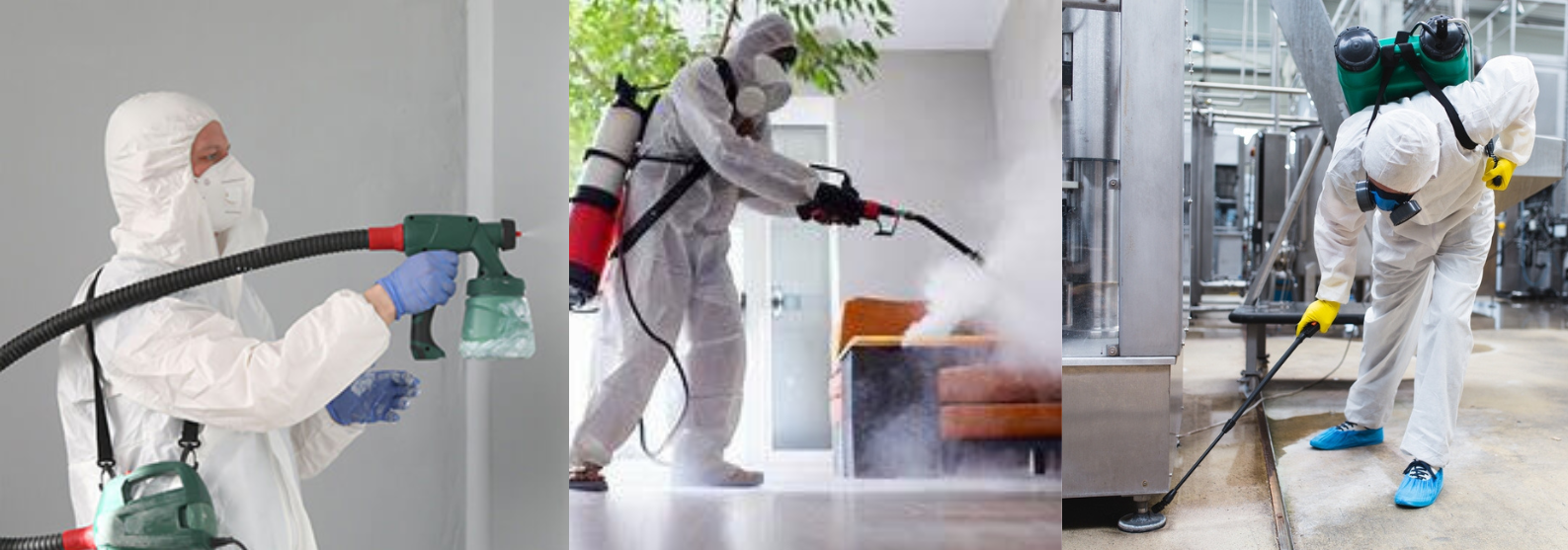 Expert Pest Control & Fumigation Services in Jeddah | TFM